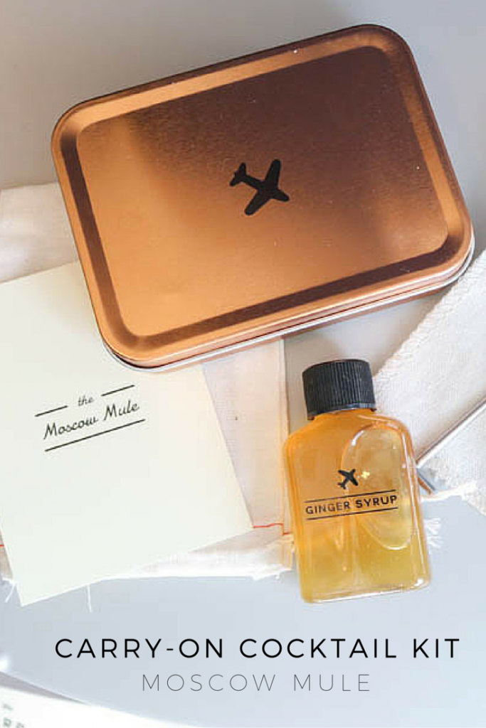 The Carry On Cocktail Kit | Passport to Friday | Luxury Travel Agency