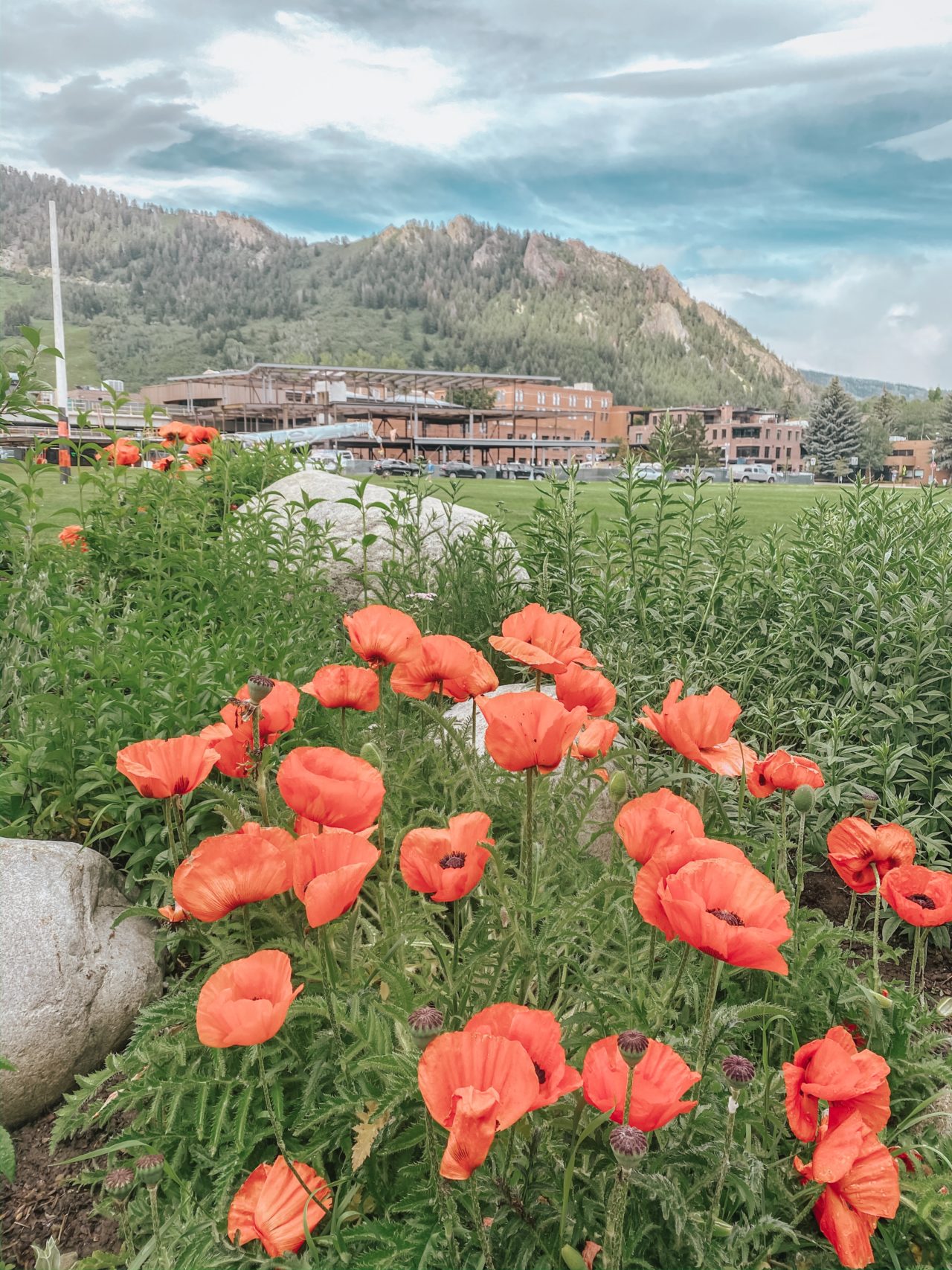 Summer Destination Guide: Aspen, Colorado | Passport to Friday | Luxury ...